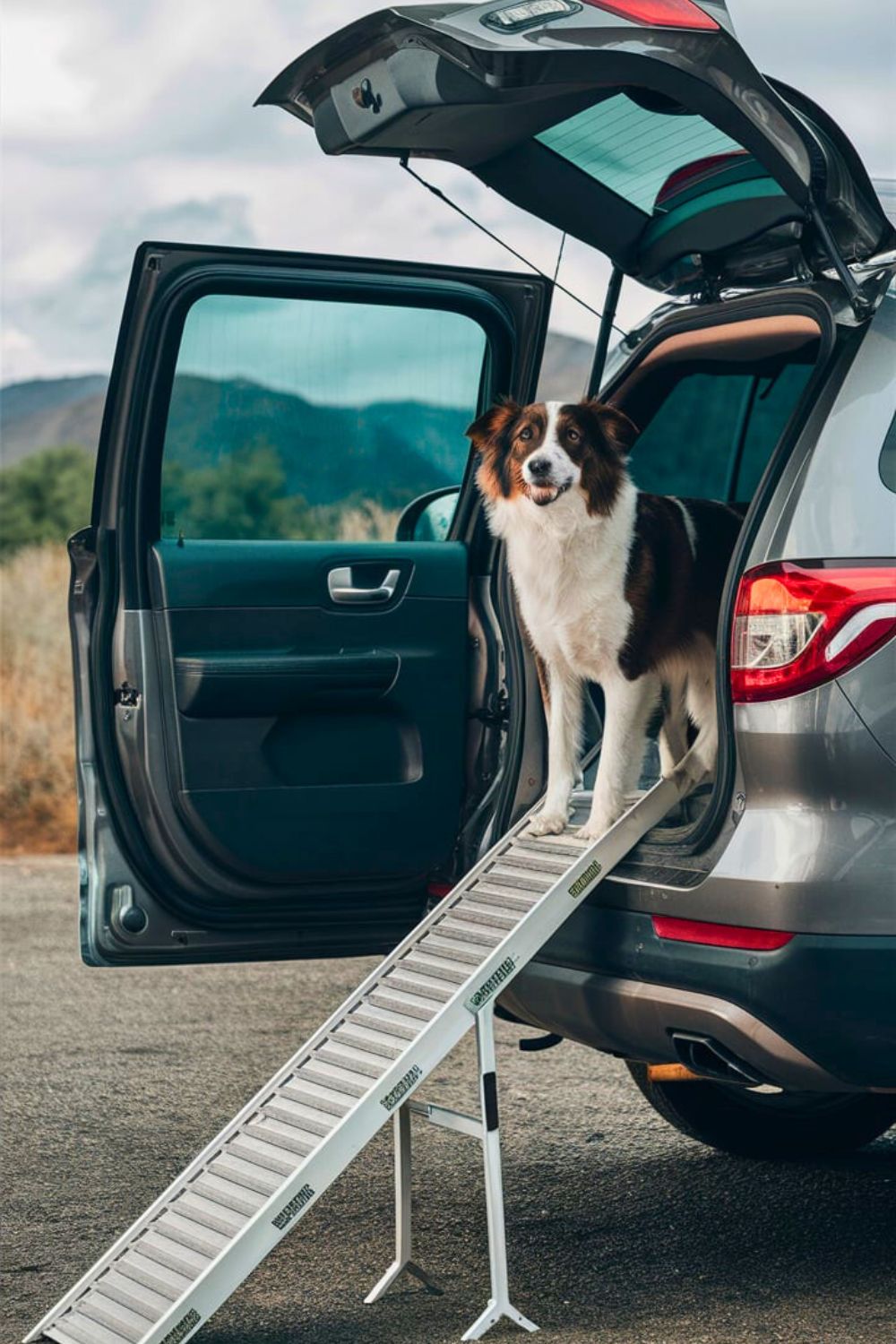 25 DIY Dog Ramp Ideas [Easy To Make] – craftydiyers.com