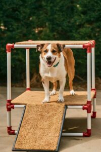25 DIY Dog Ramp Ideas [Easy To Make] – craftydiyers.com