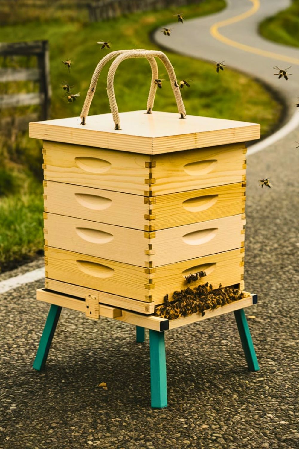 15 DIY Bee Hive [ For Every Space] – craftydiyers.com